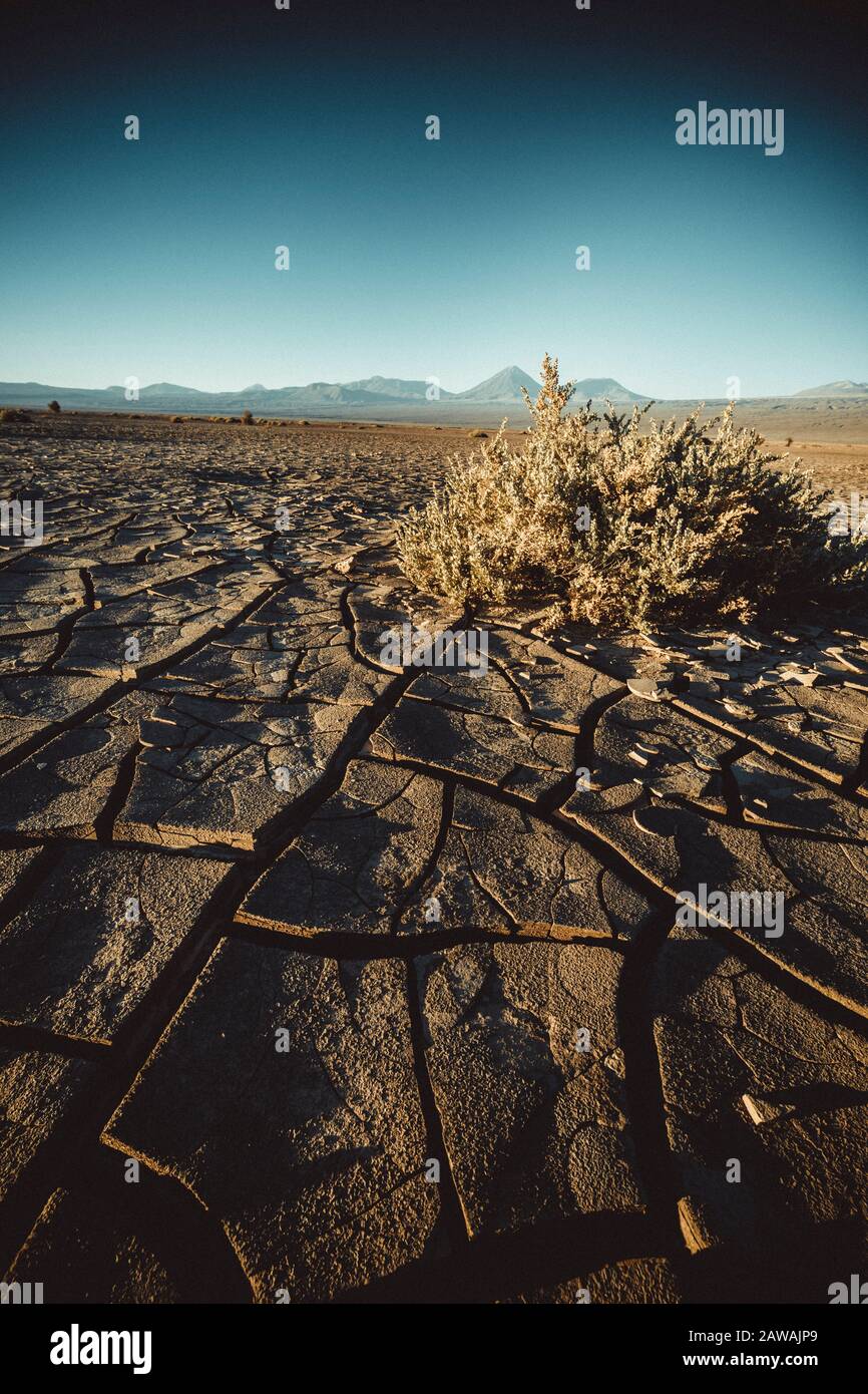 Erosion cracks in rock hi-res stock photography and images - Alamy