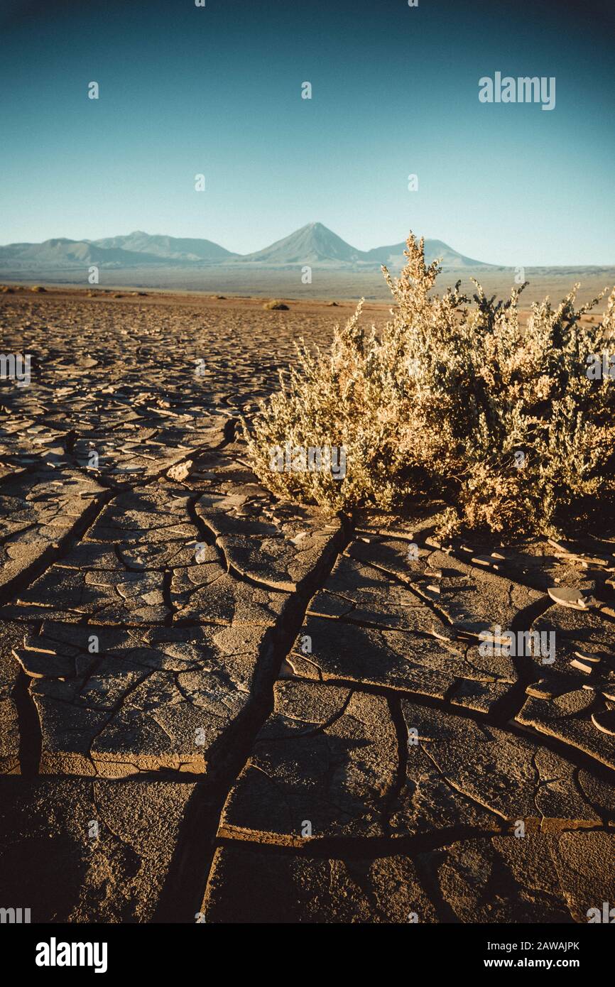 erosion cracks in Atacama desert Stock Photo - Alamy