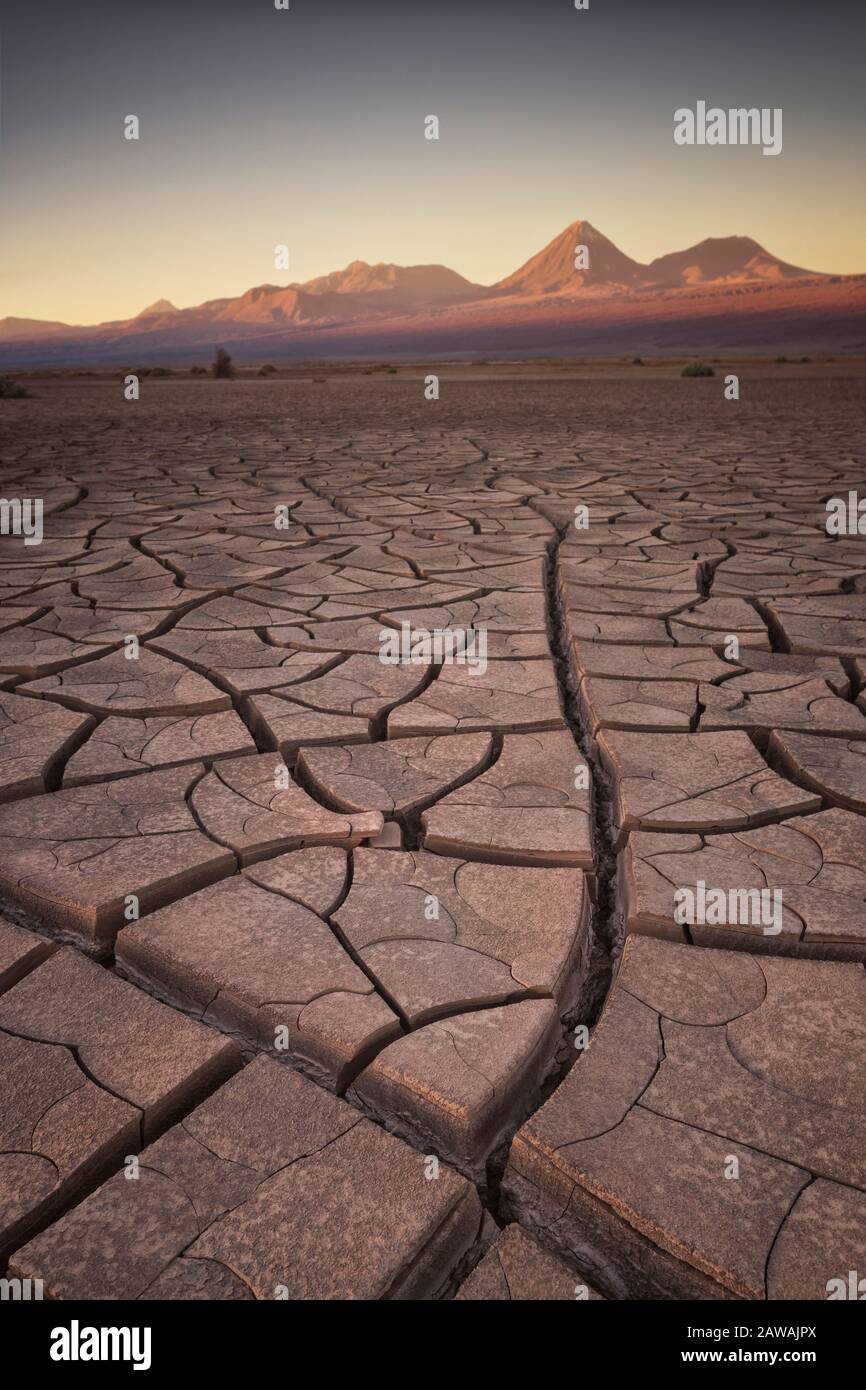 erosion cracks in Atacama desert Stock Photo - Alamy