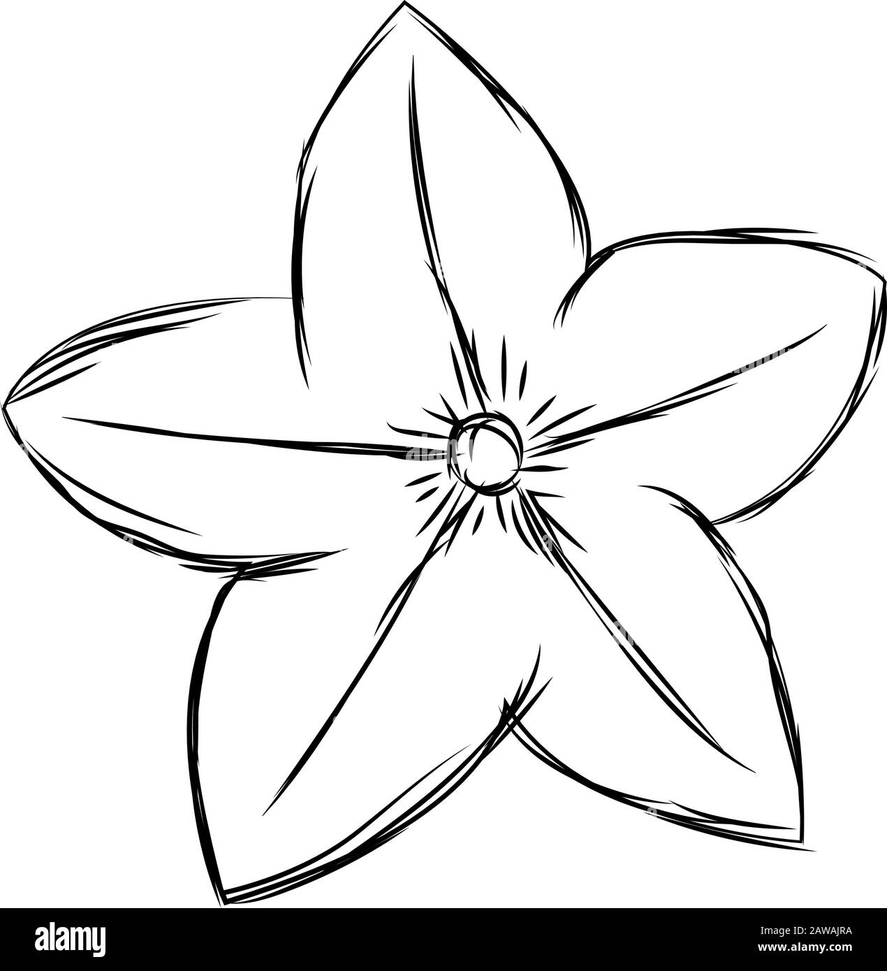 Isolated sketch of a flower Stock Vector Image & Art - Alamy