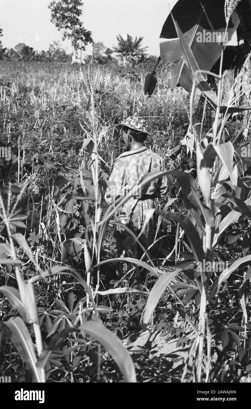 Patrol [Soldier in camouflage uniform and camouflage helmet in dense ...