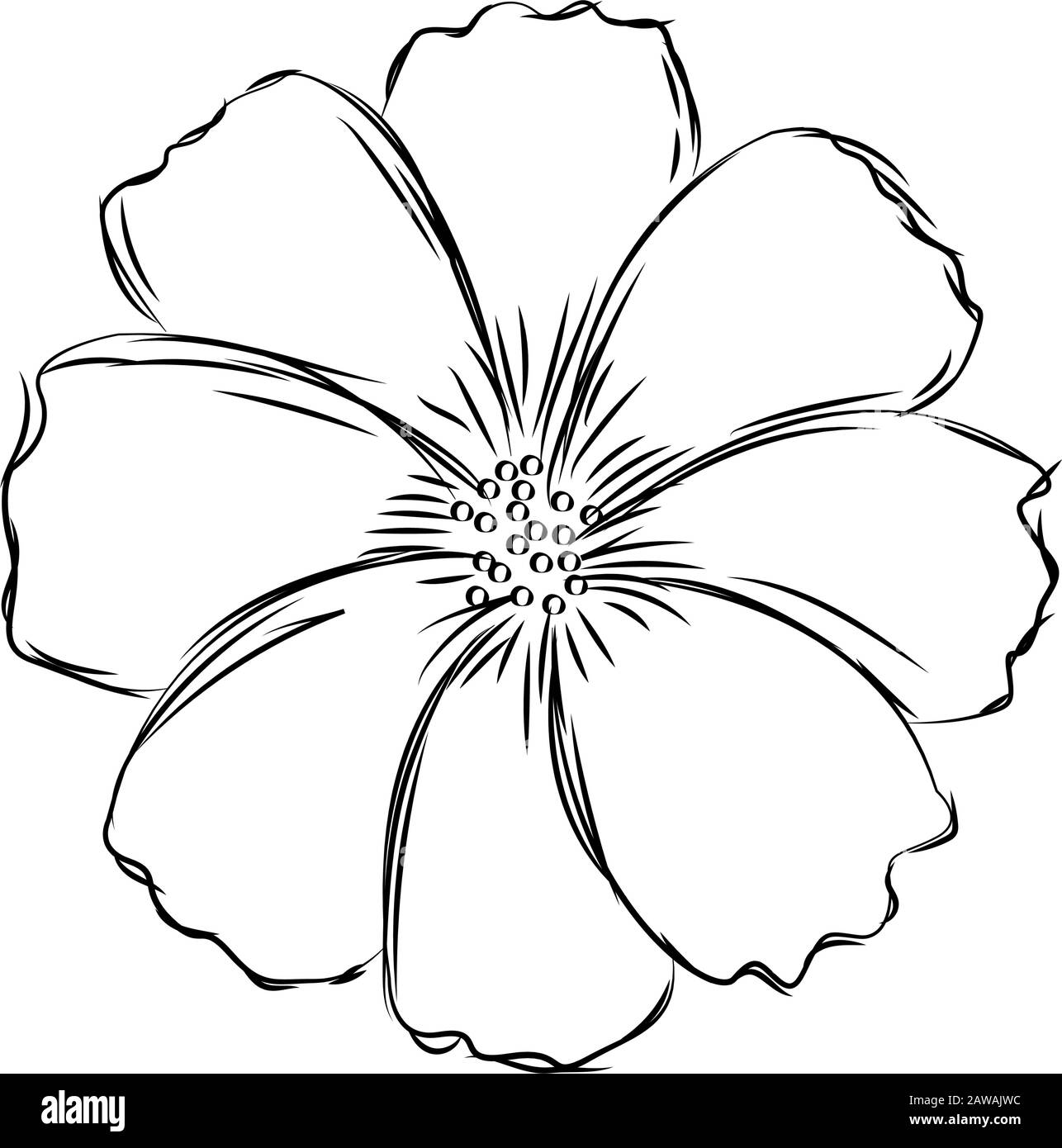 Isolated sketch of a flower Stock Vector Image & Art - Alamy