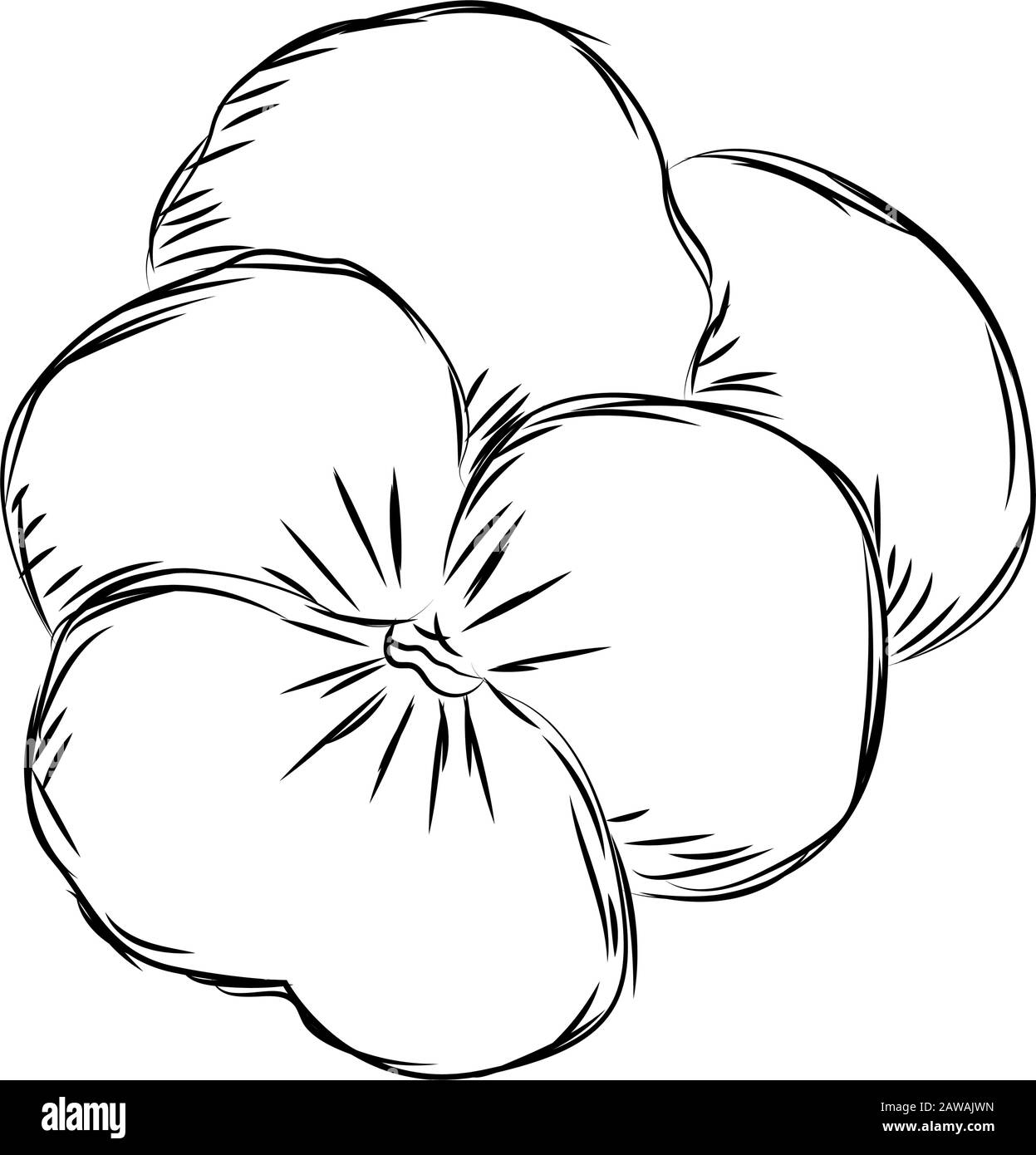 Isolated sketch of a flower Stock Vector Image & Art - Alamy