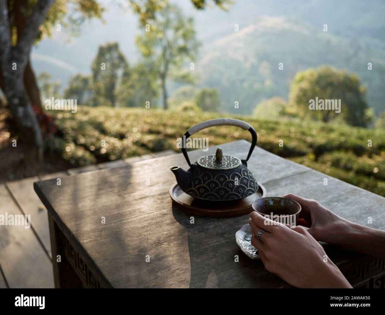 Woman drinking tea in the garden hi-res stock photography and images ...
