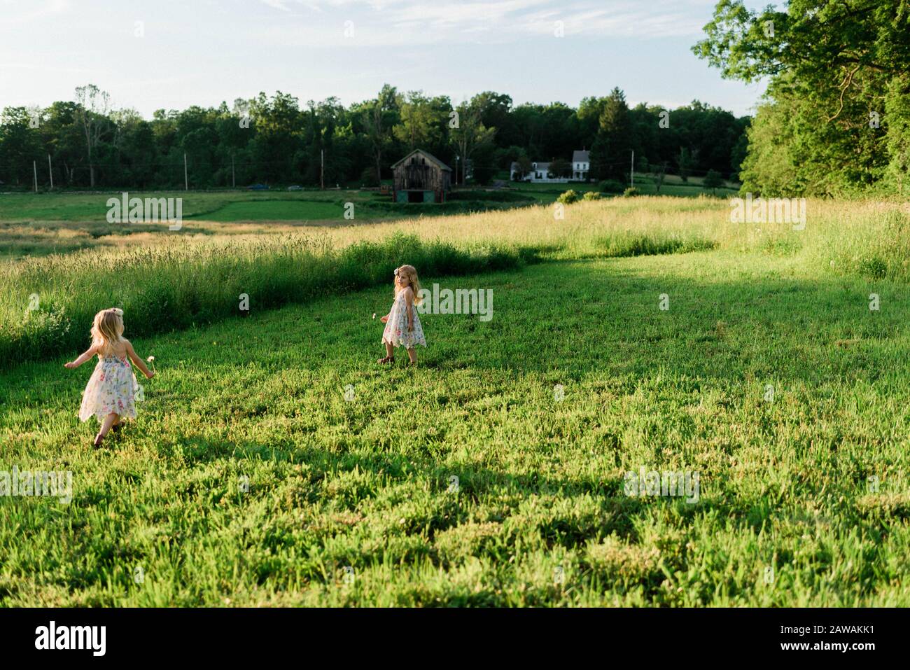 Running through a flower meadow hi-res stock photography and images - Alamy