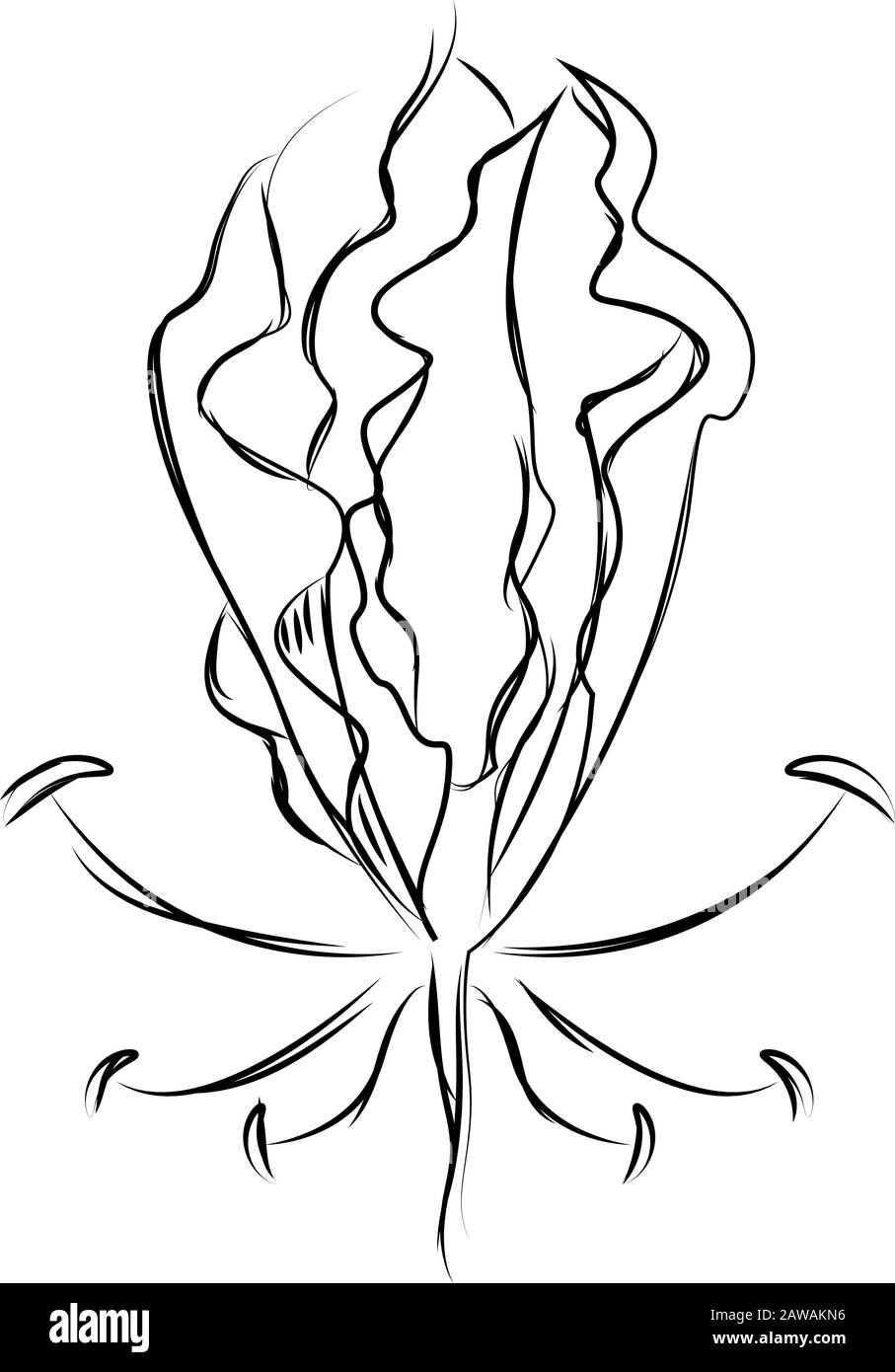 Isolated sketch of a flower Stock Vector Image & Art - Alamy