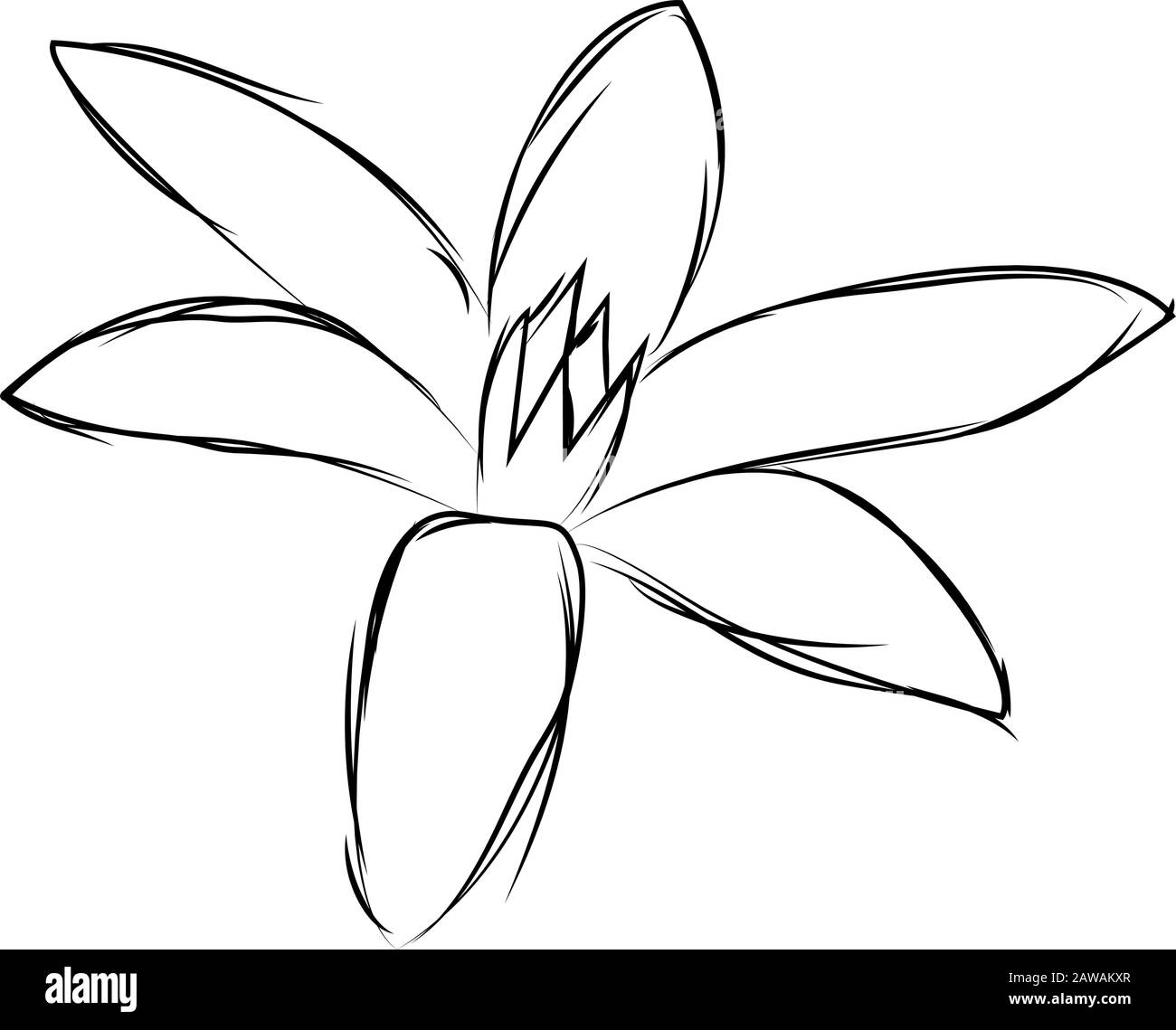 Isolated sketch of a flower Stock Vector Image & Art - Alamy