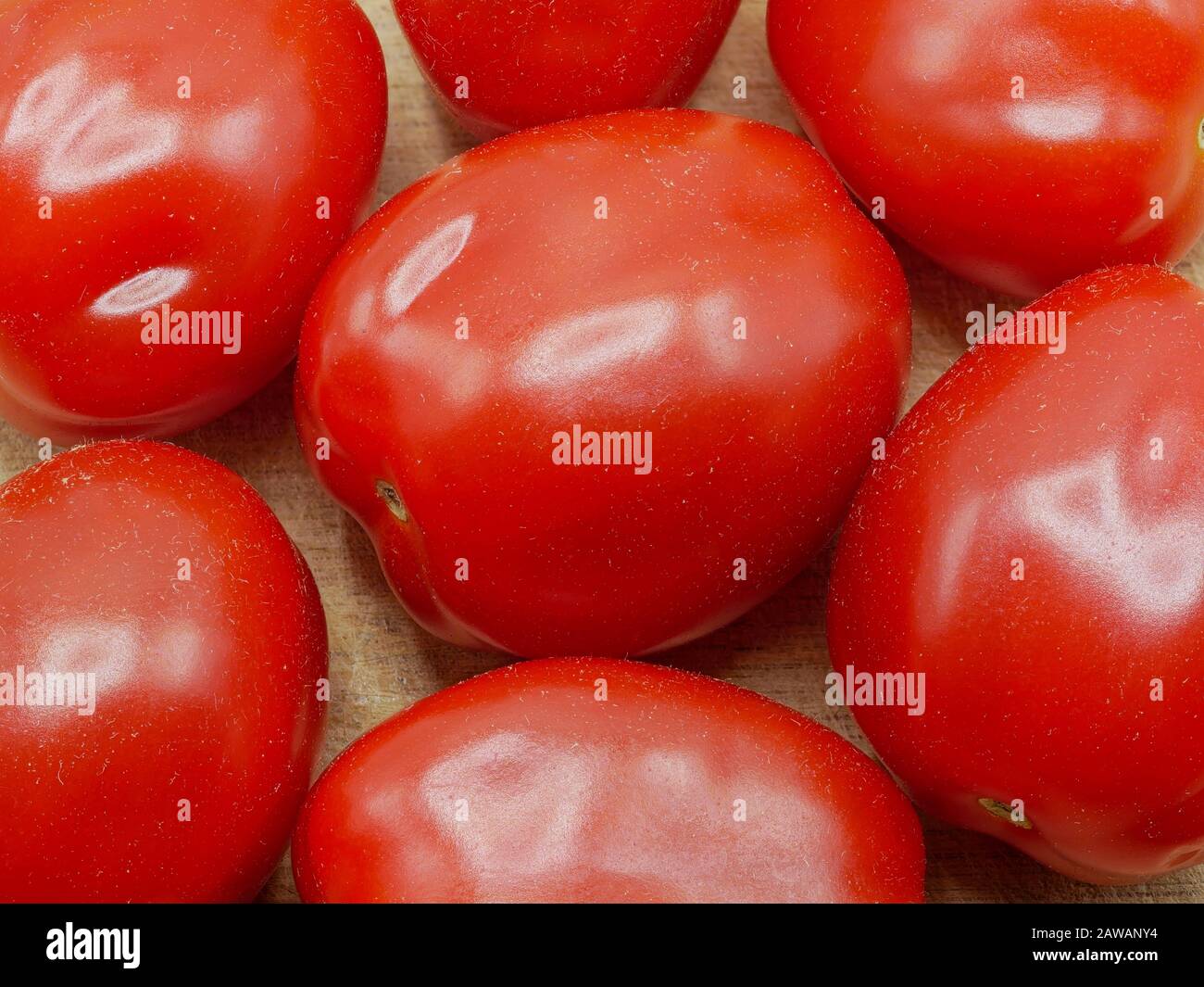 Close-up of Roma Tomatoes Also Called Italian or Plum Tomatoes Stock ...