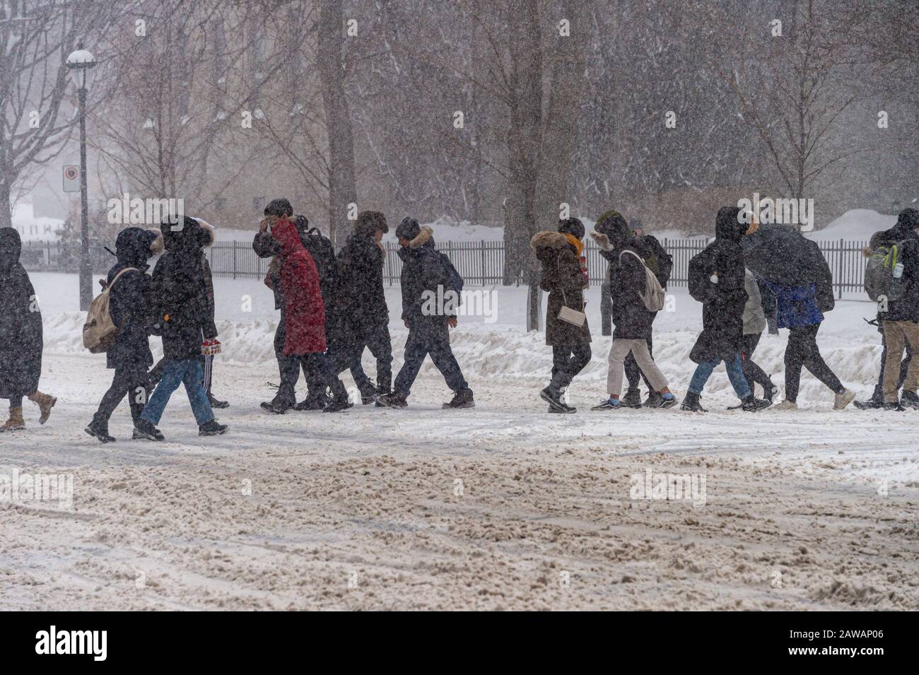 People walking in snow storm hi-res stock photography and images - Alamy
