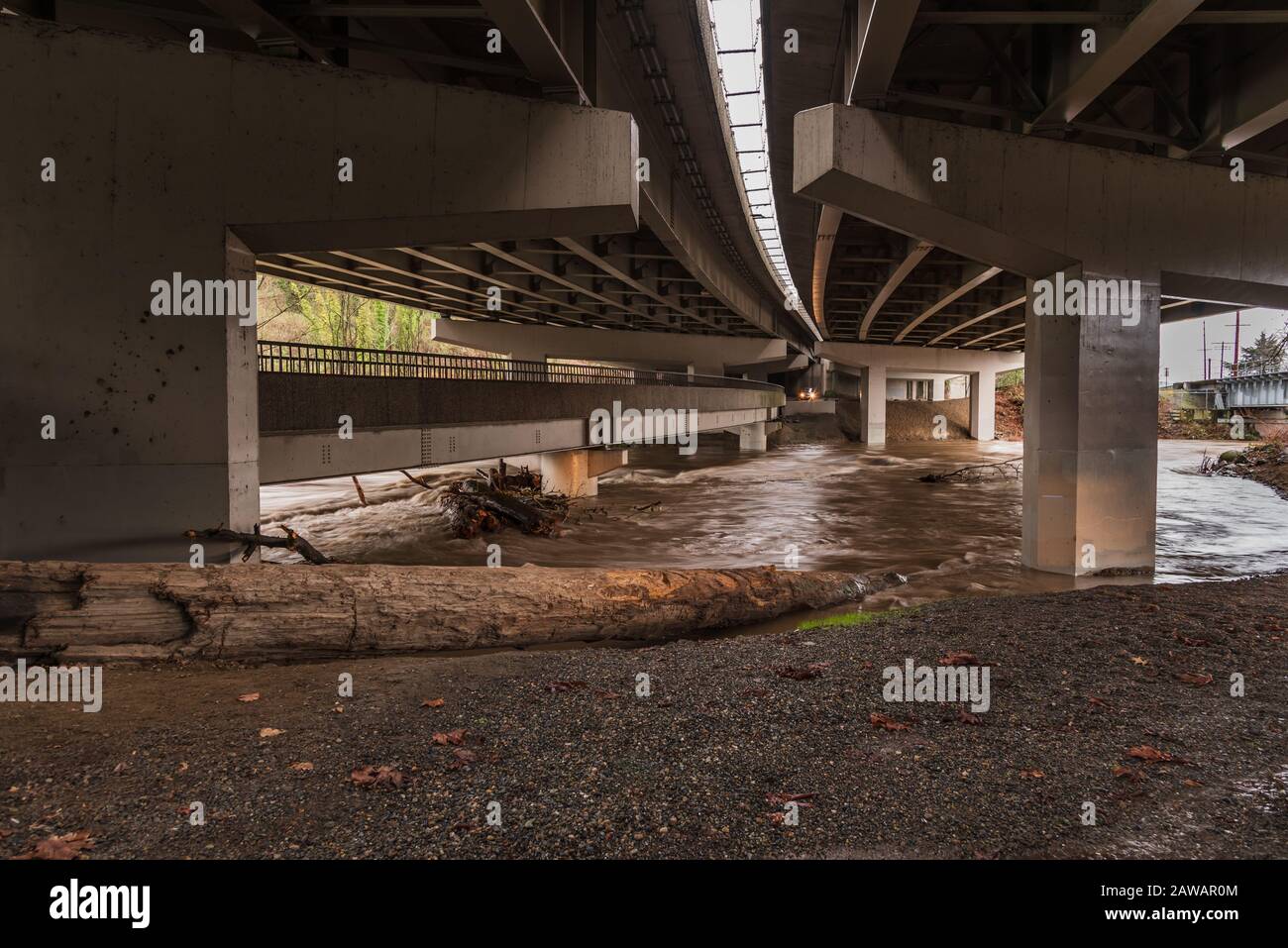The Cedar River nears at stage through downtown Renton under I-405 ...
