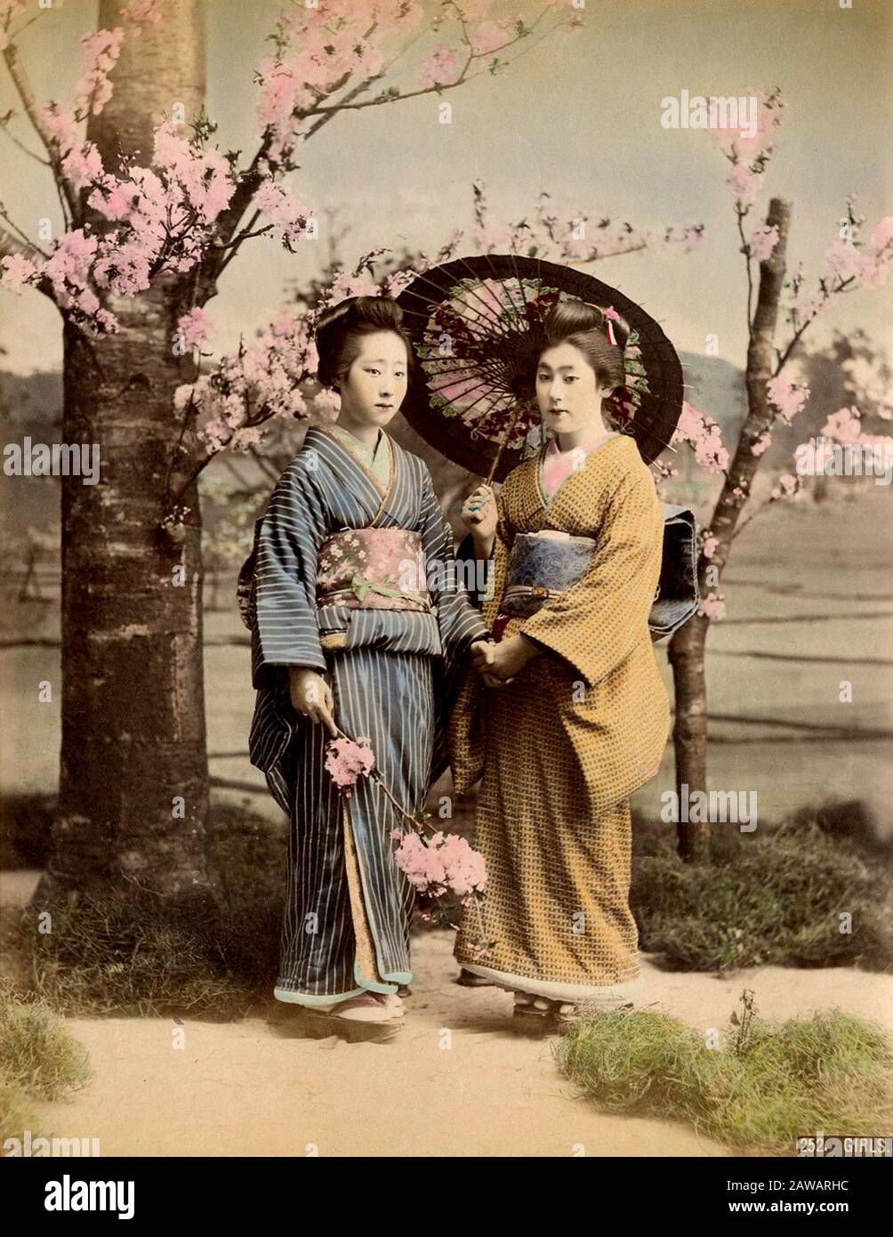 1880 ca, Japan : Japanish young women in Springtime with pink cherry ...