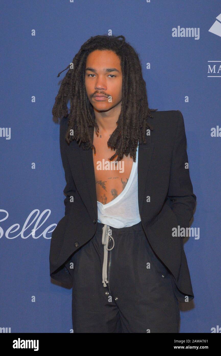 NEW YORK, NY - FEBRUARY 05: Luka Sabbat attends the 2020 amfAR New York ...