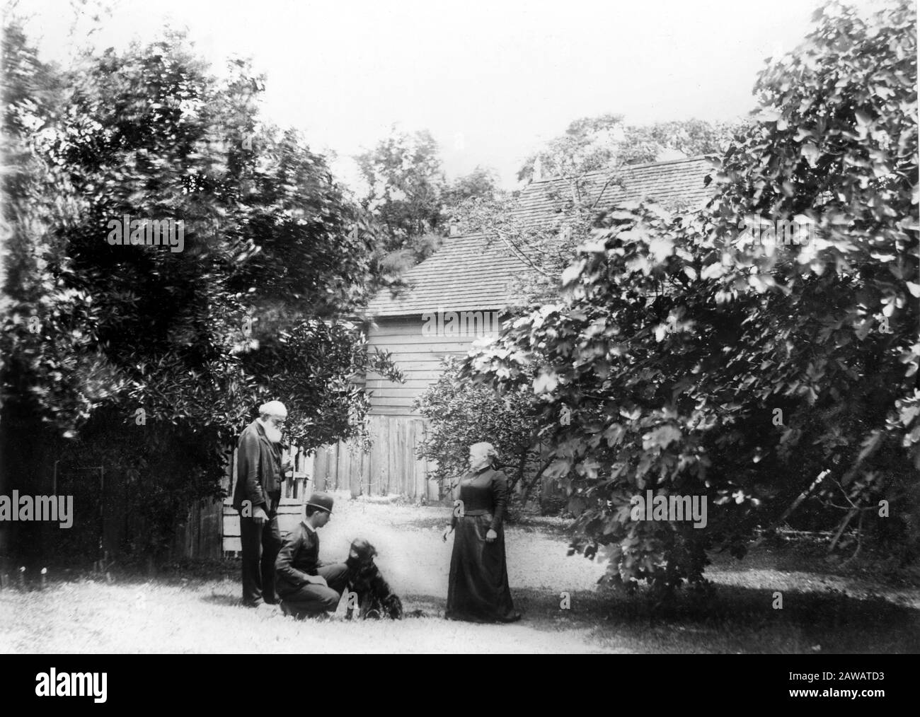 Leo tolstoi portrait Black and White Stock Photos & Images - Alamy