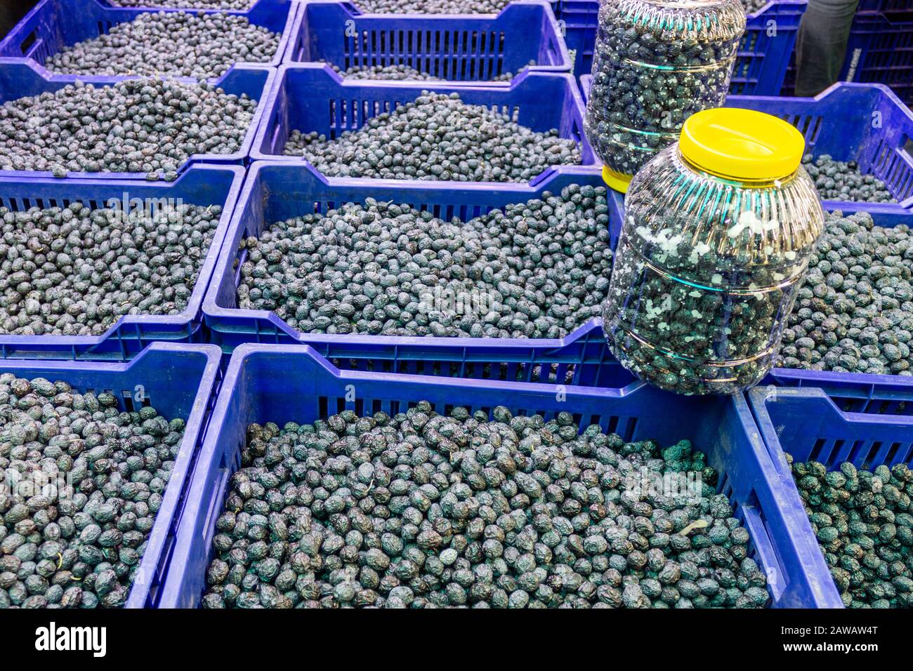 Newly harvested black olives in crates Stock Photo - Alamy