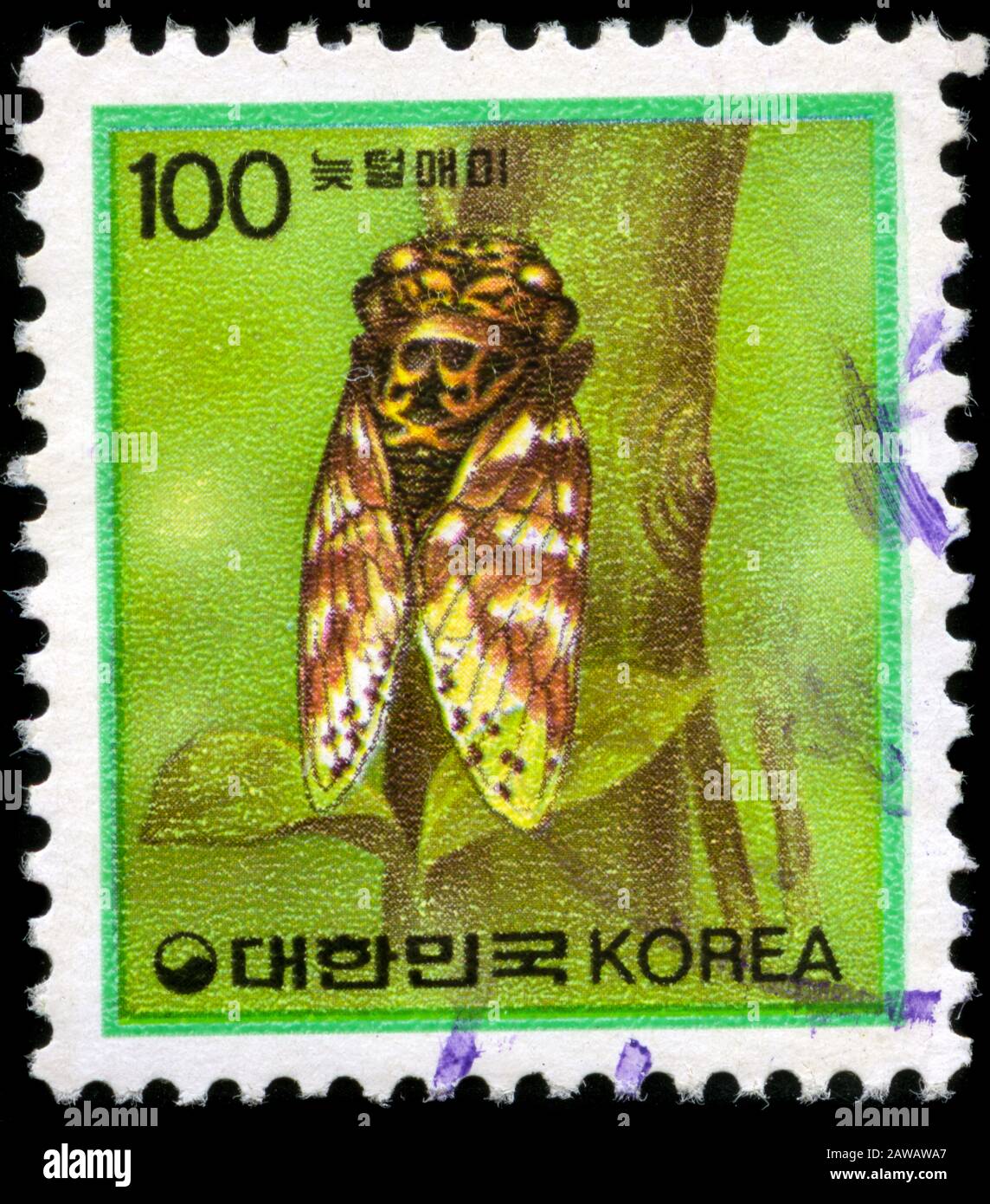 Suisha High Resolution Stock Photography and Images - Alamy