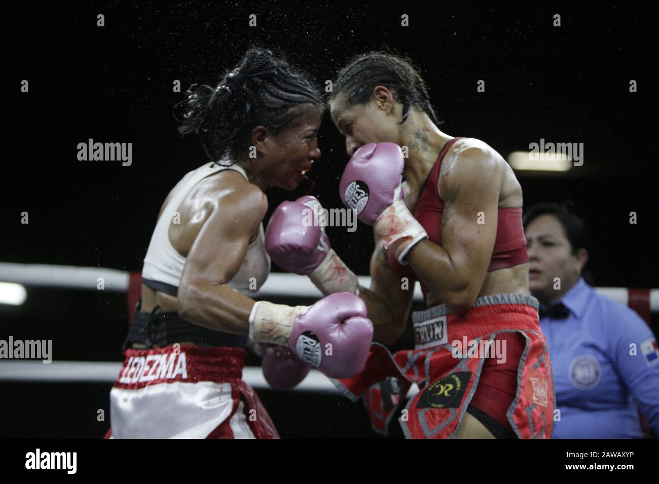 World Flyweight Stock Photos & World Flyweight Stock Images - Alamy