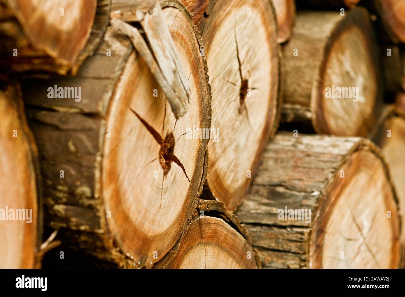 Pile of cut timber Stock Photo - Alamy