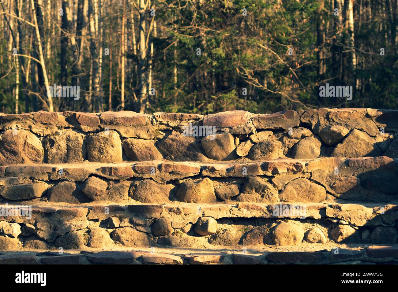 Stone steps ladder. stairs from natural stones in the park background ...
