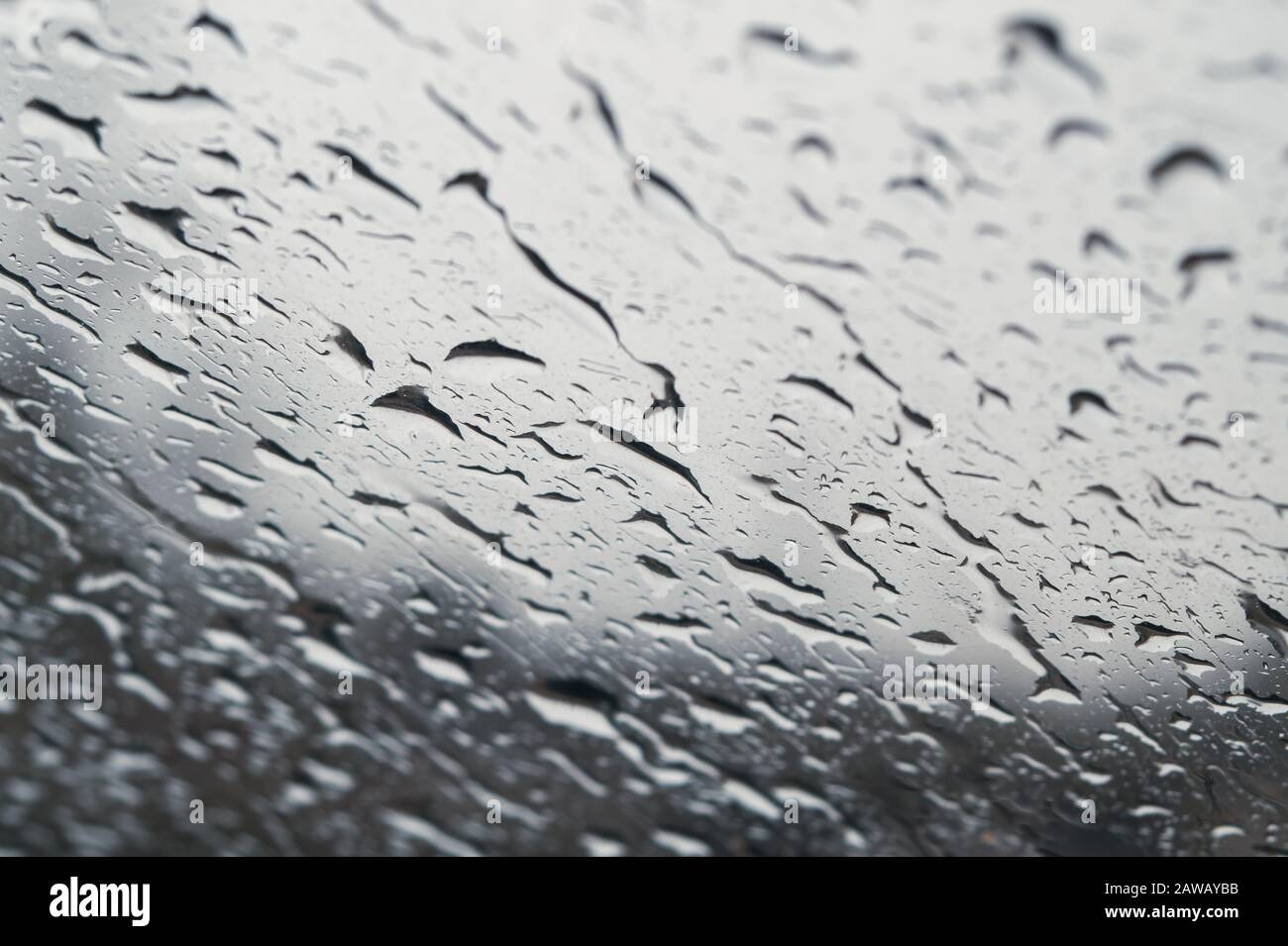 Raindrops Falling On Window