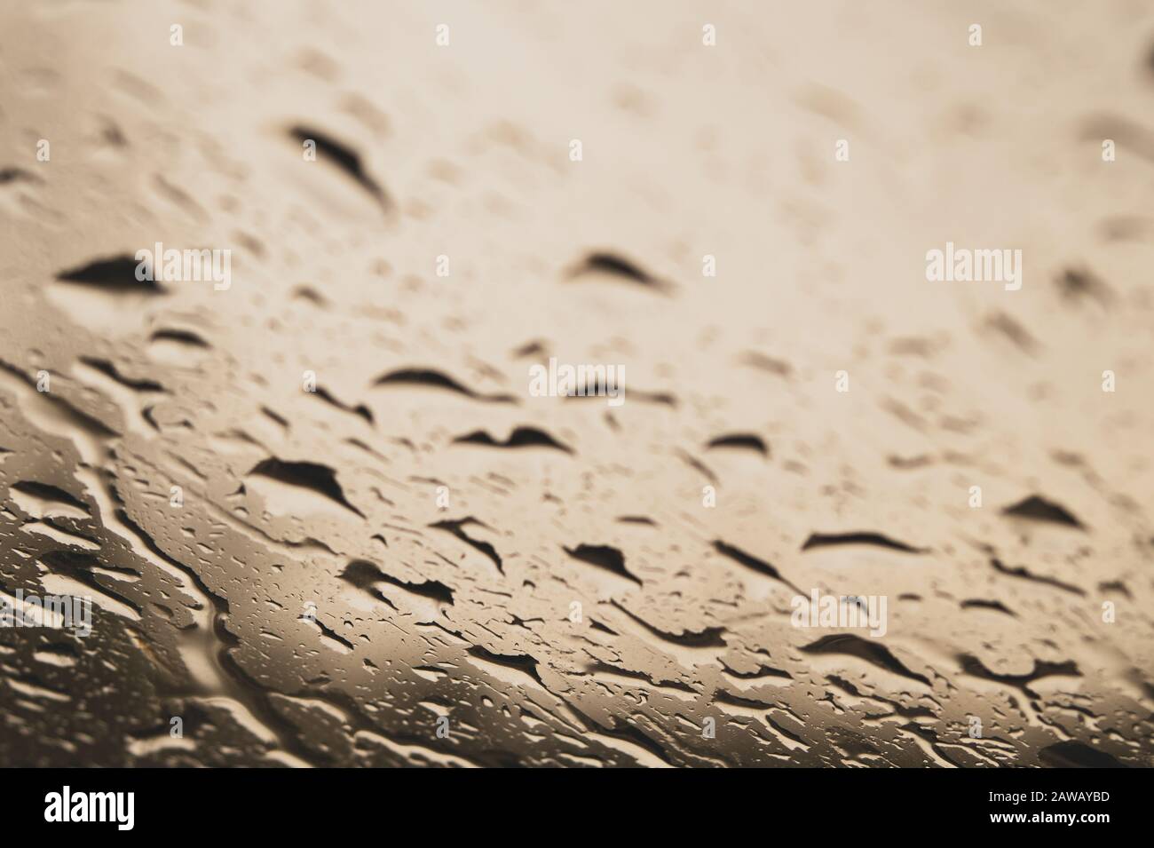 Realistic raindrop hi-res stock photography and images - Alamy