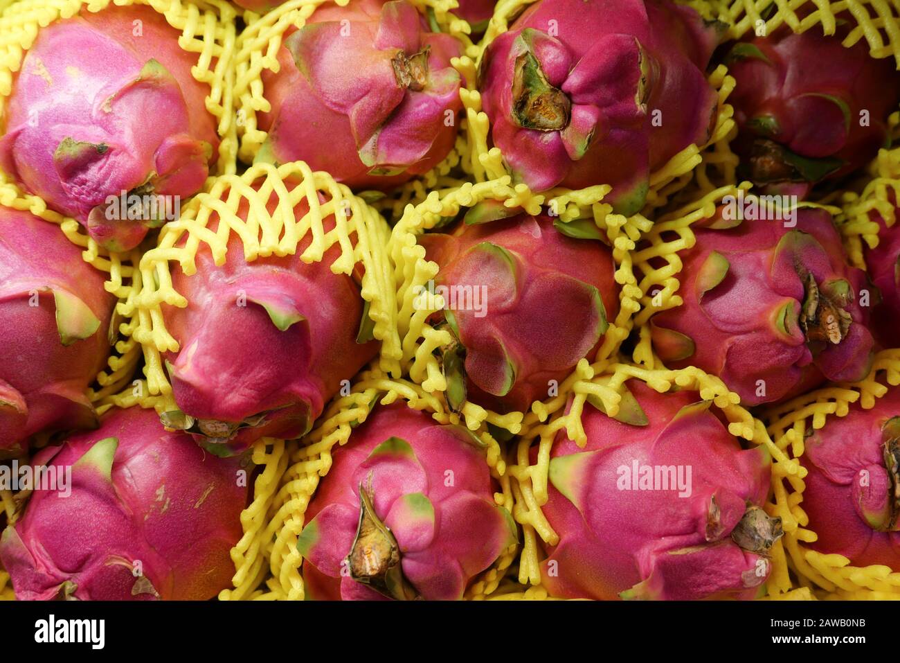 Cookery display cookery hi-res stock photography and images - Alamy