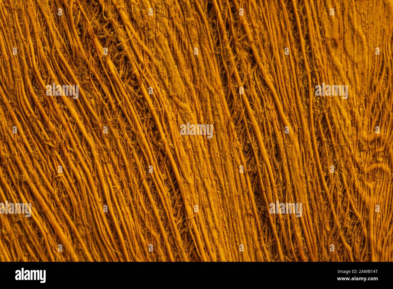 Rough wood macro texture. brown wooden material background Stock Photo ...