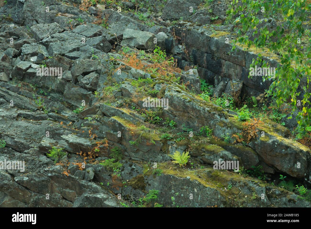 Rock of layered stone overgrown with grass and moss. texture of stone ...