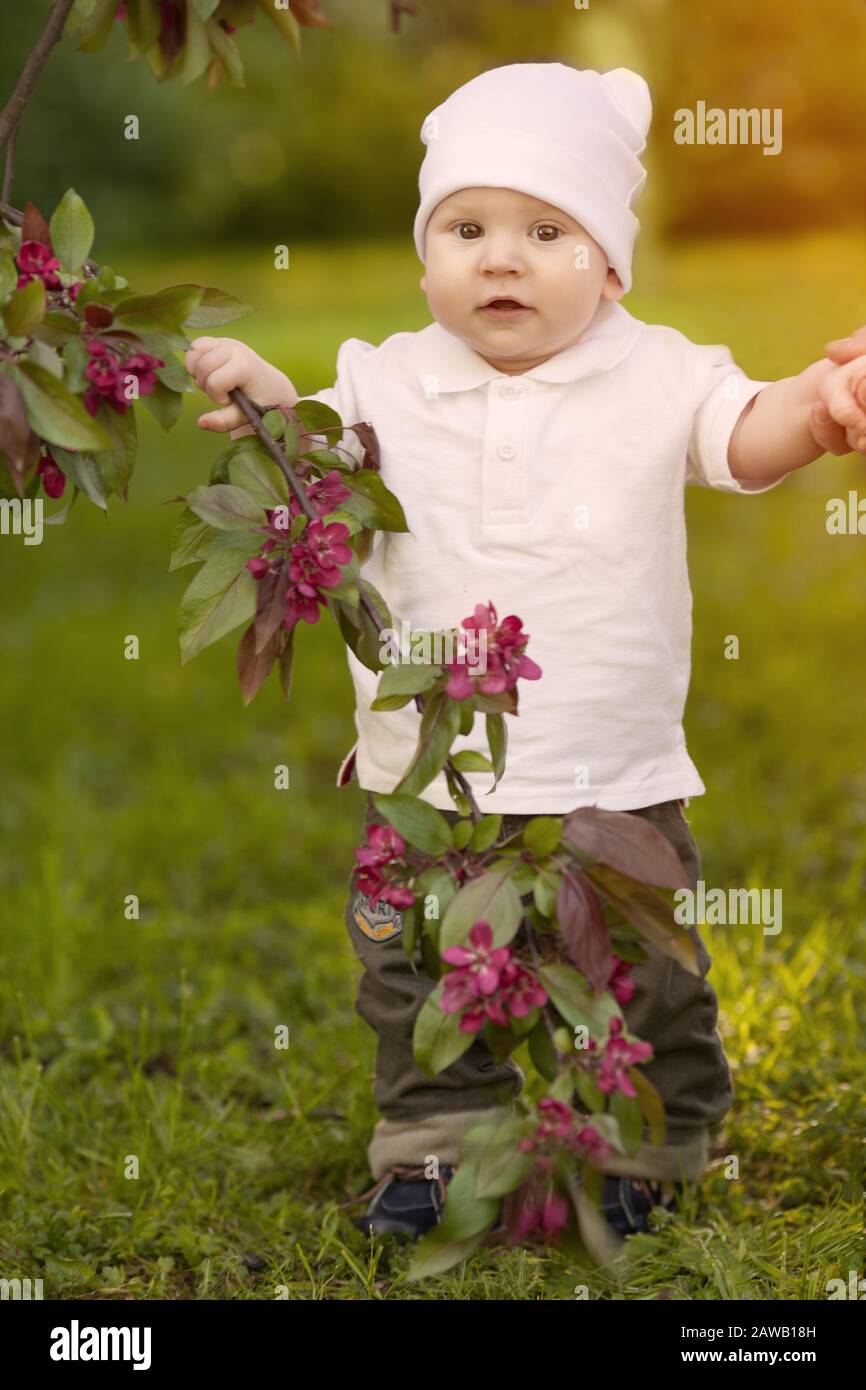 Baby in the park in the rays of sunset. Toddler on the nature outdoors ...