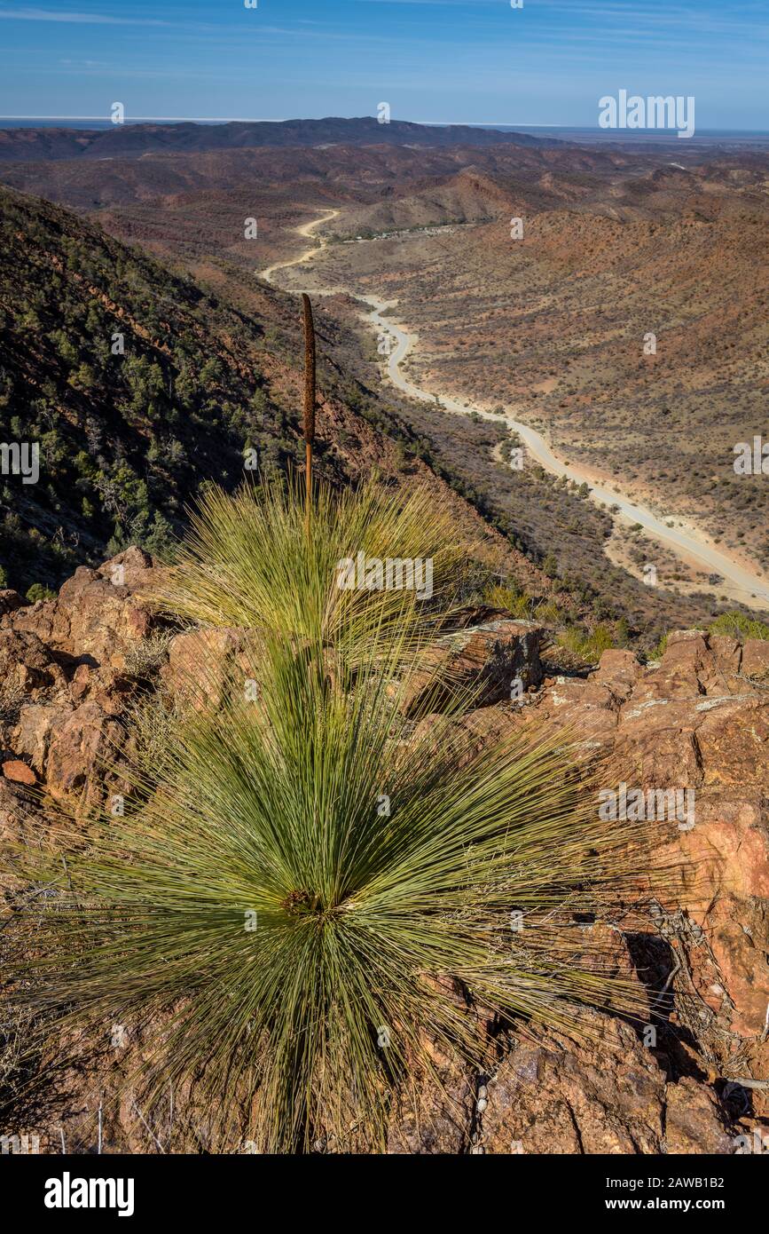 Gammon ranges hi-res stock photography and images - Alamy