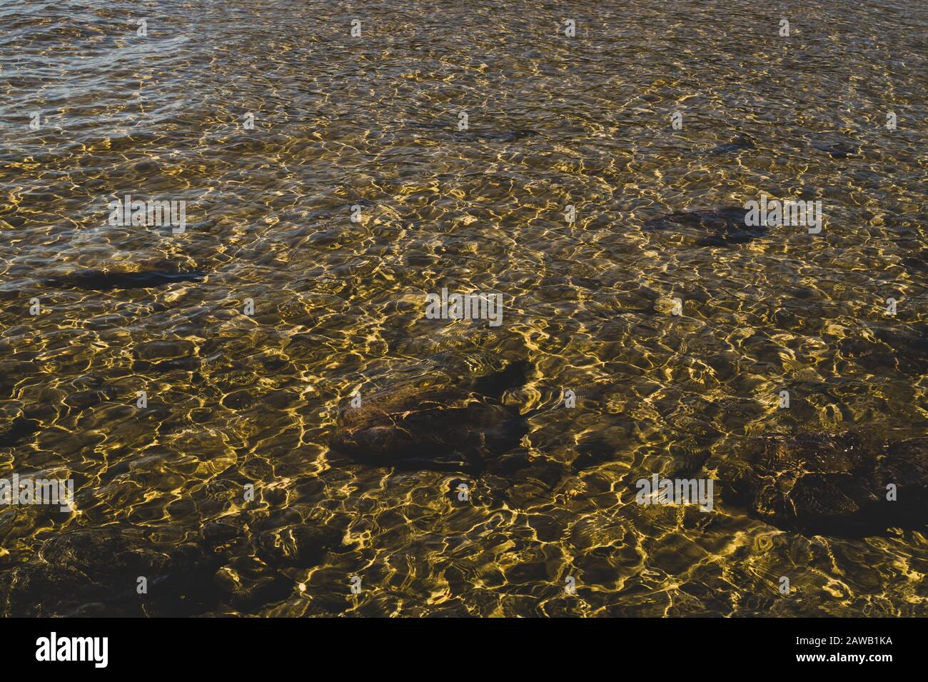 Shiny transparent water. clear water with pebbles and stone on the ...