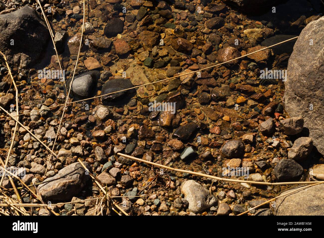 Shiny transparent water. clear water with pebbles and stone on the ...