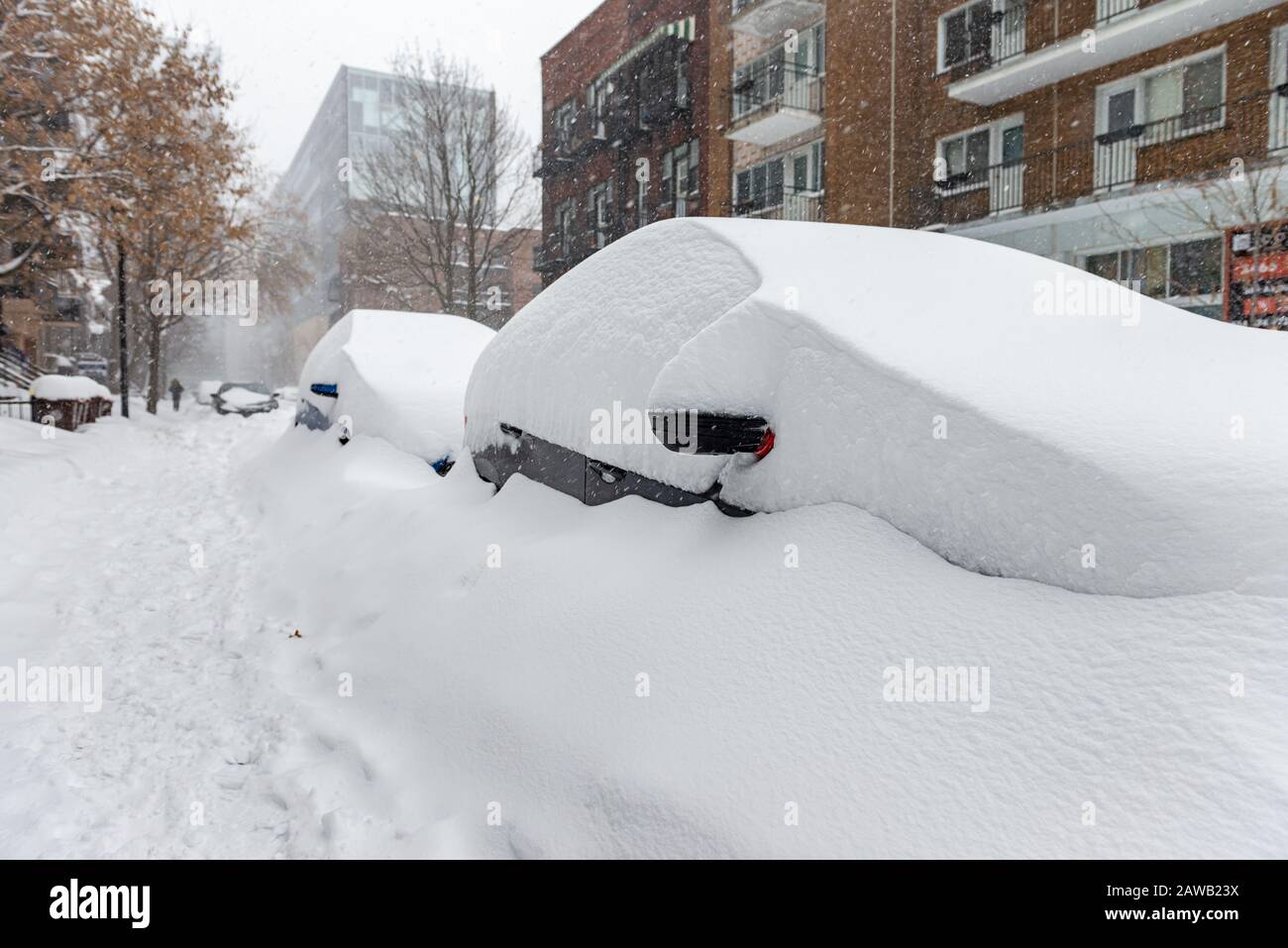 Snow covered cars parked on side of road in a Montreal neighborhood ...