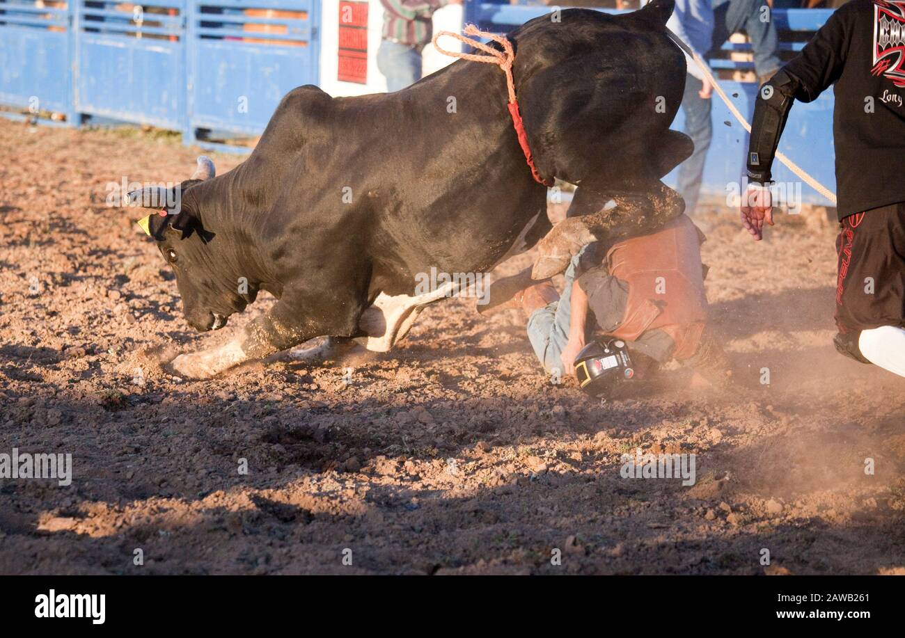 horse saddle at an Australian rodeo Stock Photo - Alamy