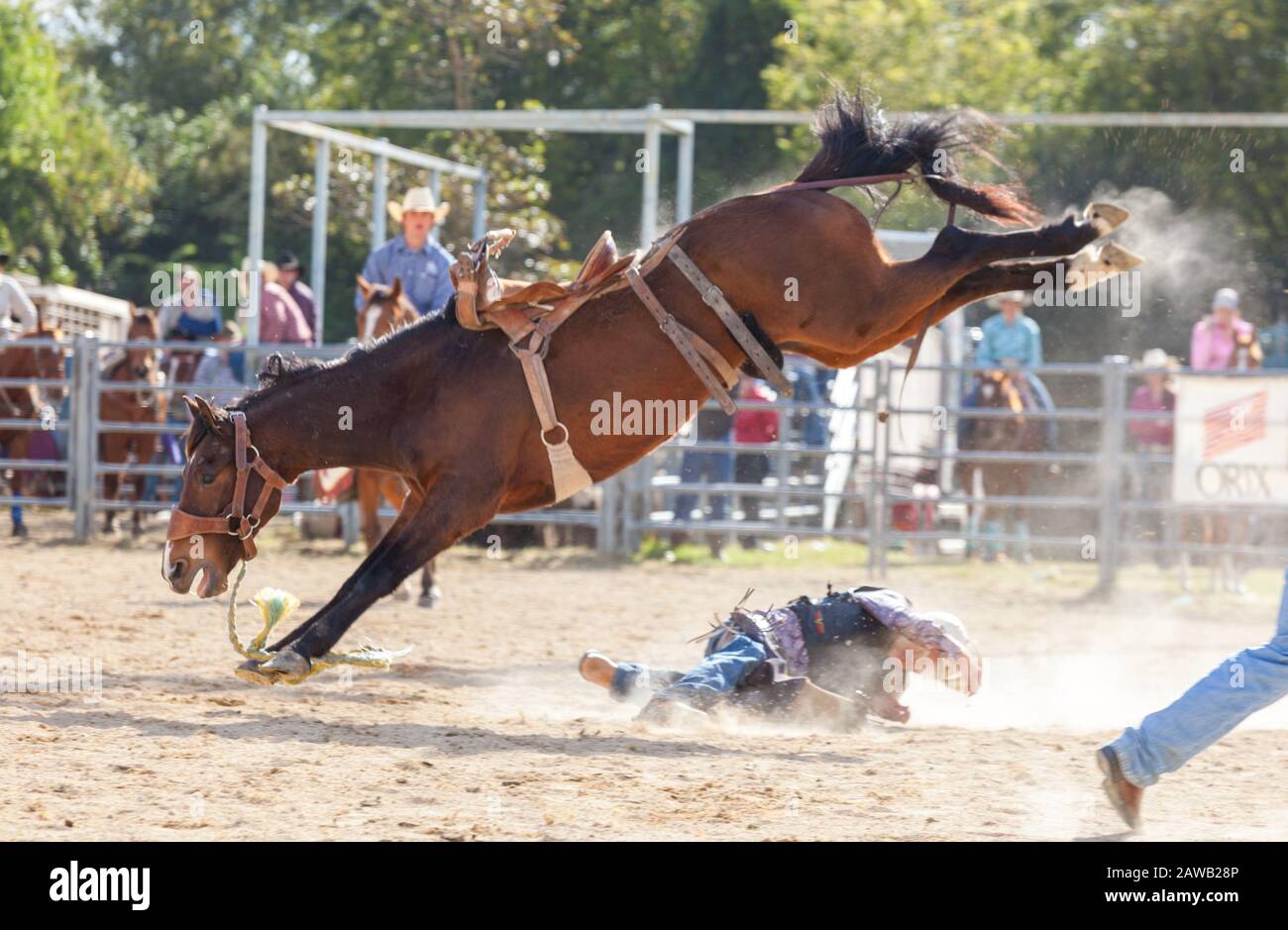 horse saddle at an Australian rodeo Stock Photo - Alamy
