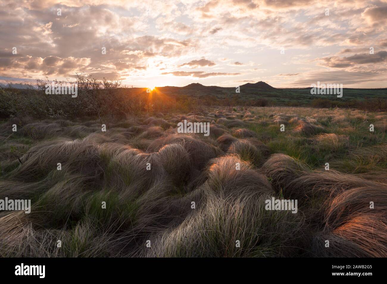 Spring landscape with old grass in prairie, rocks on horizon and ...