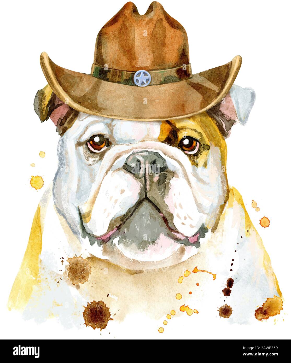 Watercolor portrait of bulldog with cowboy hat Stock Photo - Alamy