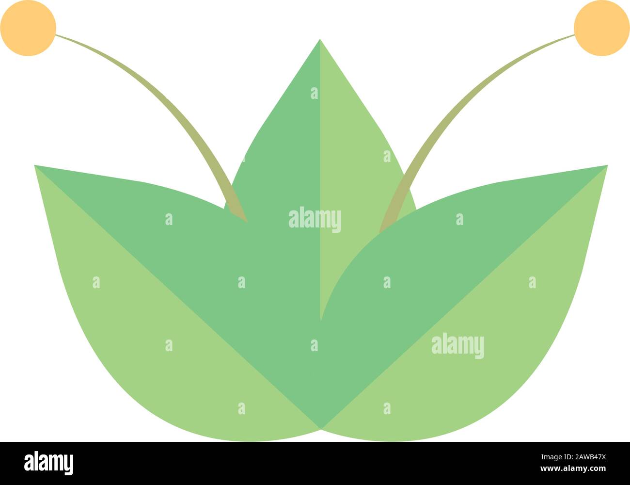 flower growth natural floral botanical on white background vector ...