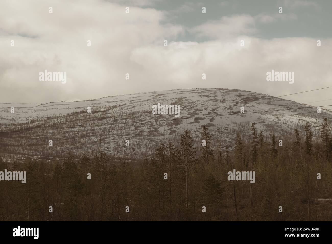 Mountain landscape background. snowy hills and forest background Stock ...