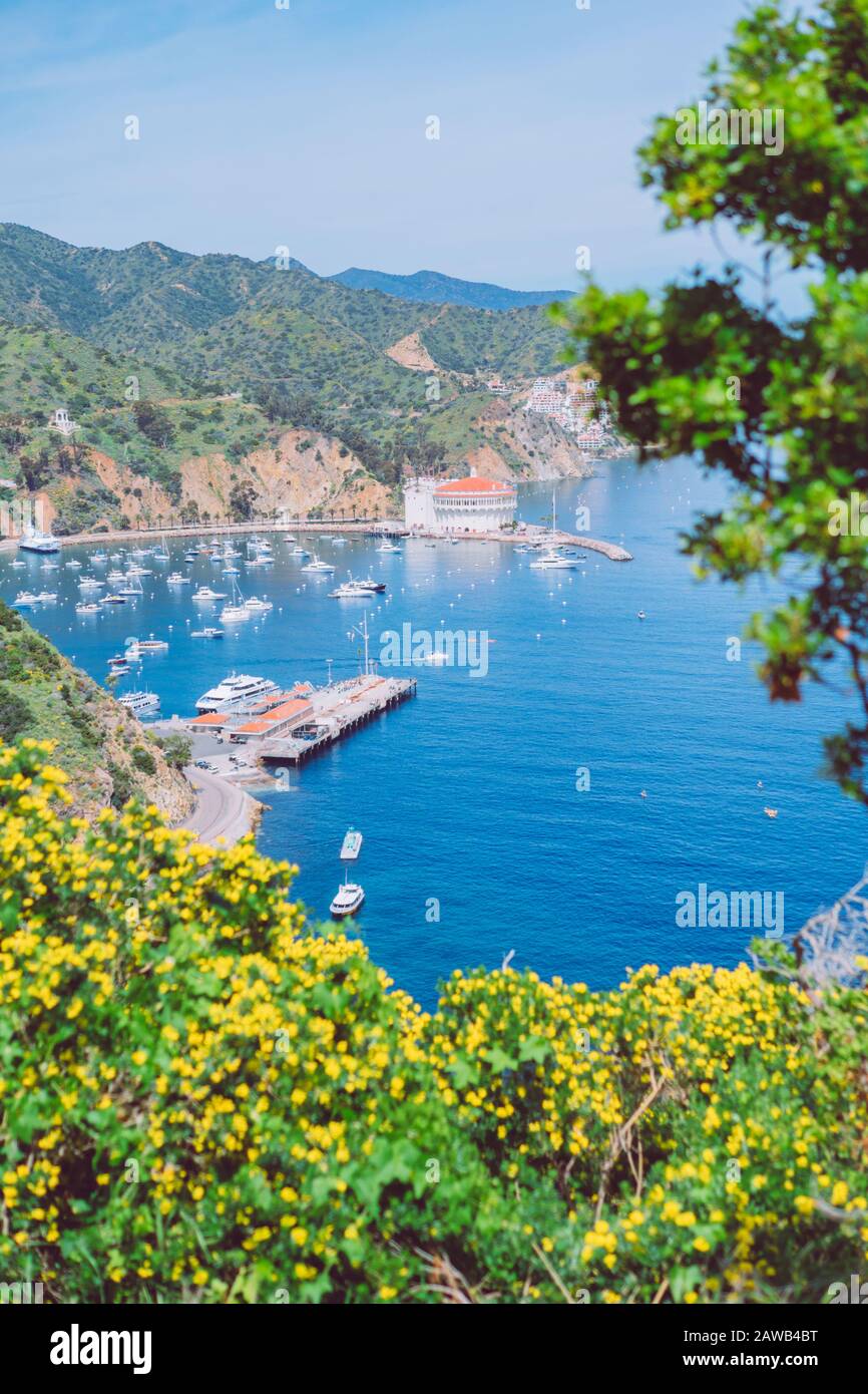 Catalina Island, sunny and charming sea view in California Stock Photo ...