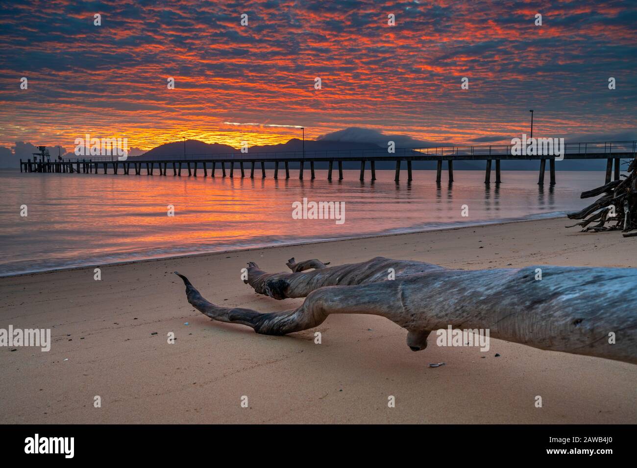 Log on beach with Cardwell Jetty in background at sunrise, Cardwell ...