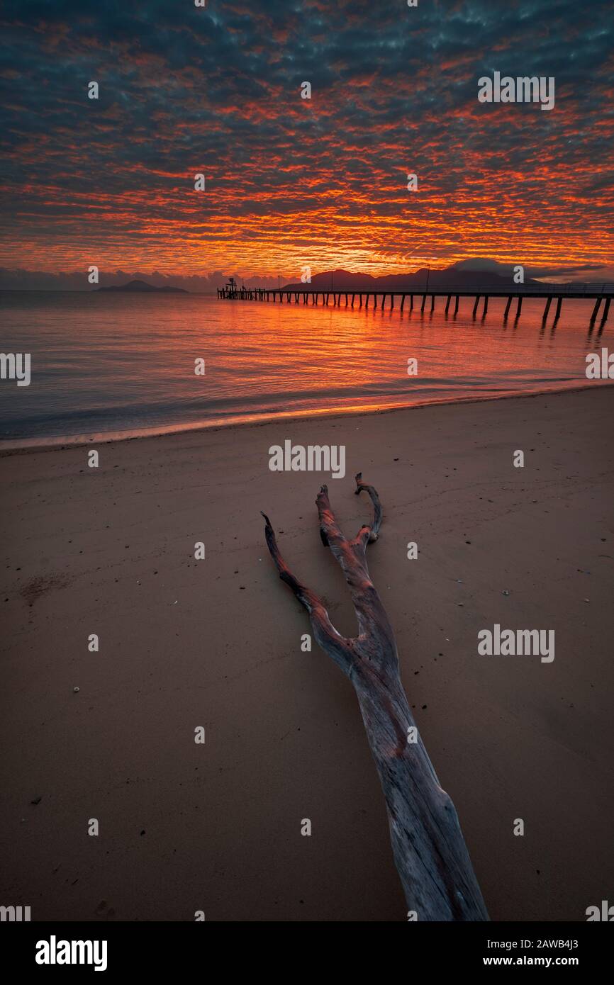 Log on beach with Cardwell Jetty in background at sunrise, Cardwell ...