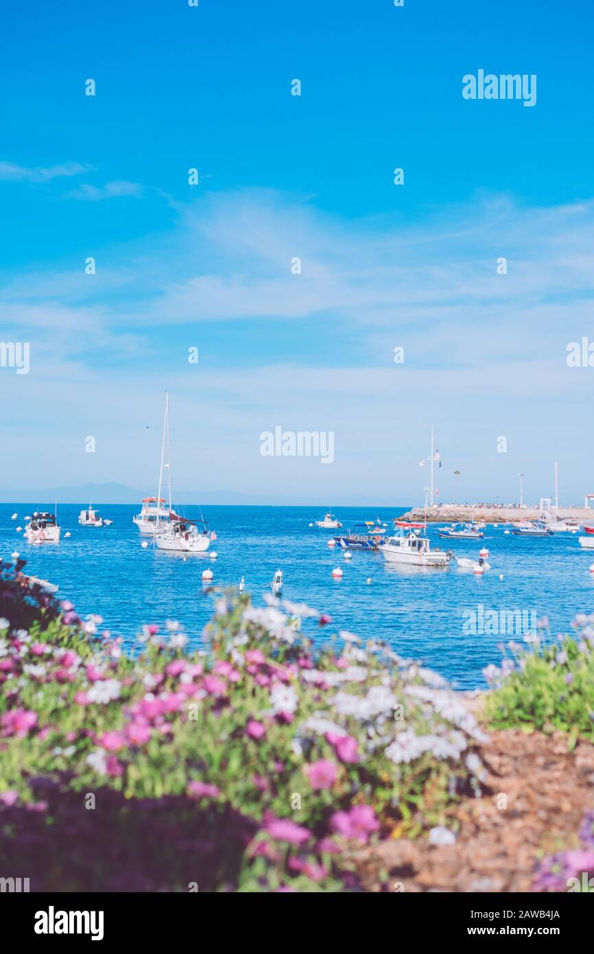 Catalina Island, sunny and charming sea view in California Stock Photo ...