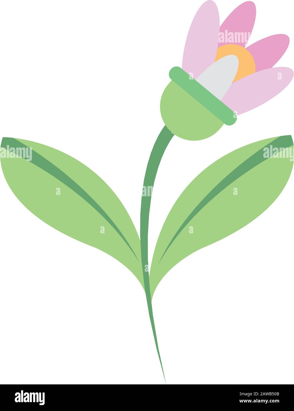 flower stem leaves natural floral botanical on white background vector ...