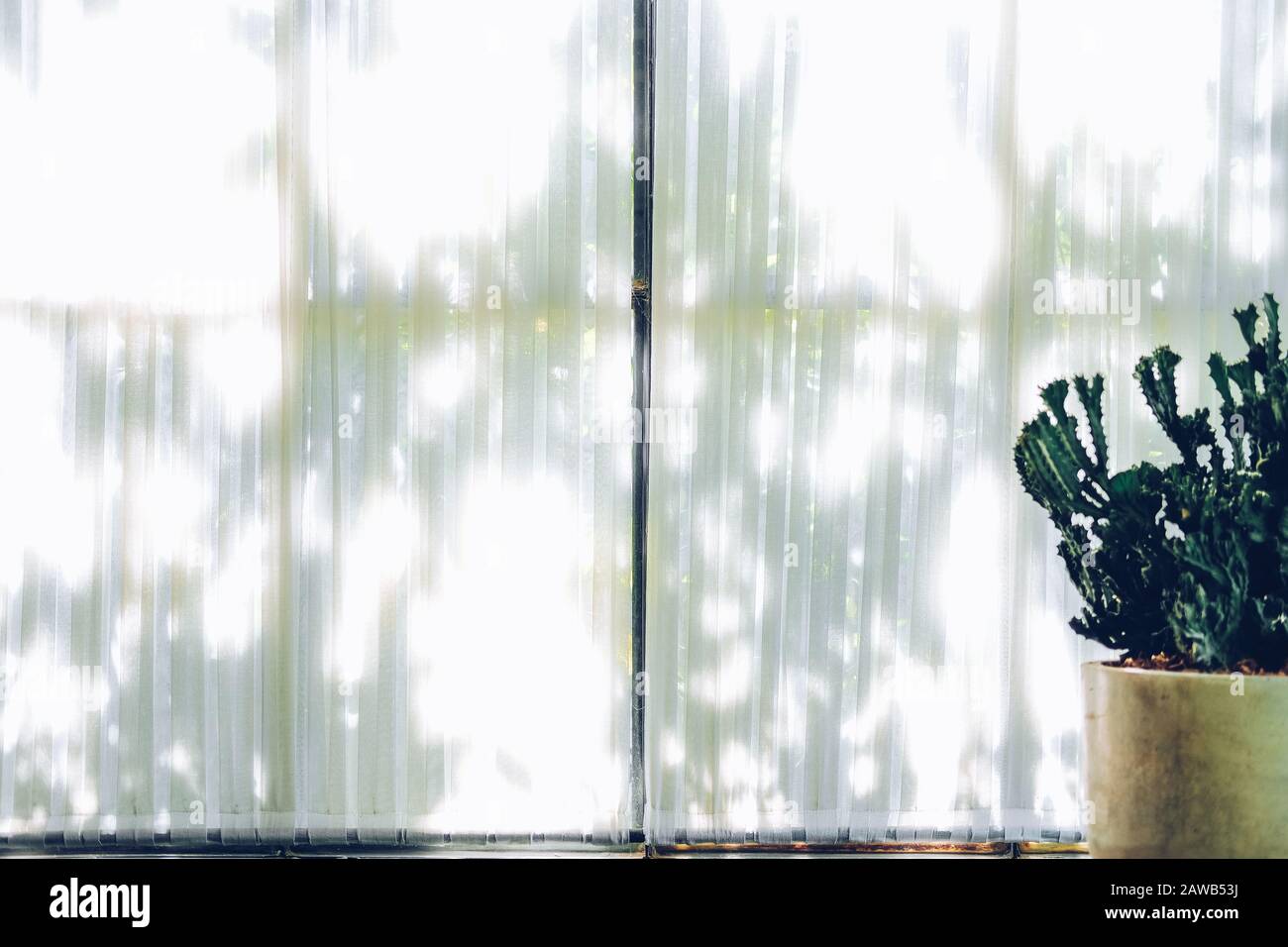 white see through sheer window curtain at home. transparent fabric ...
