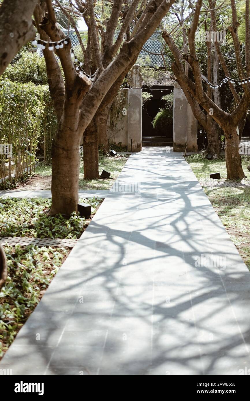 branch tree shadow on walkway pathway in garden park Stock Photo - Alamy