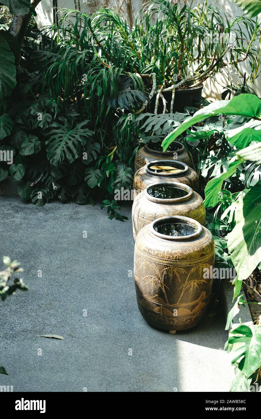 earthen water jar in garden. rain pot reservoir from Thailand Stock ...