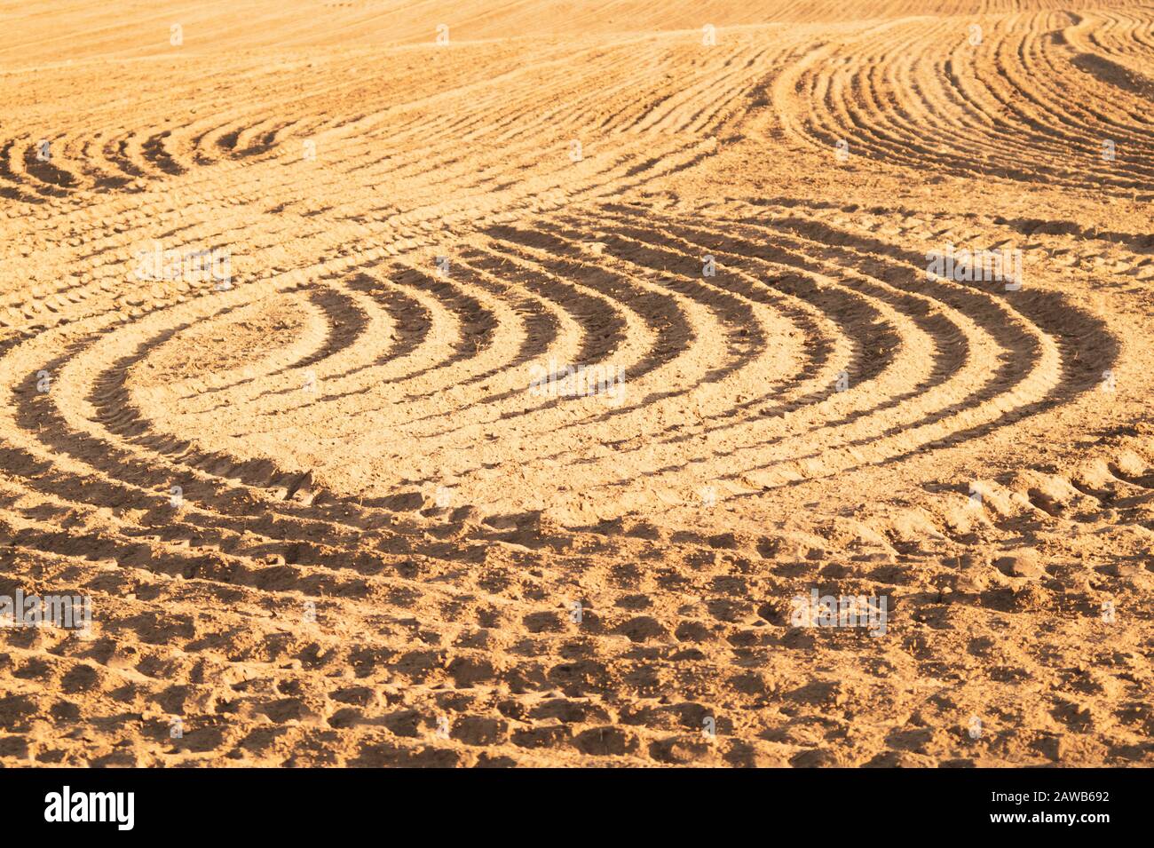 Pattern of curved ridges and furrows on a sandy field. traces on the ...