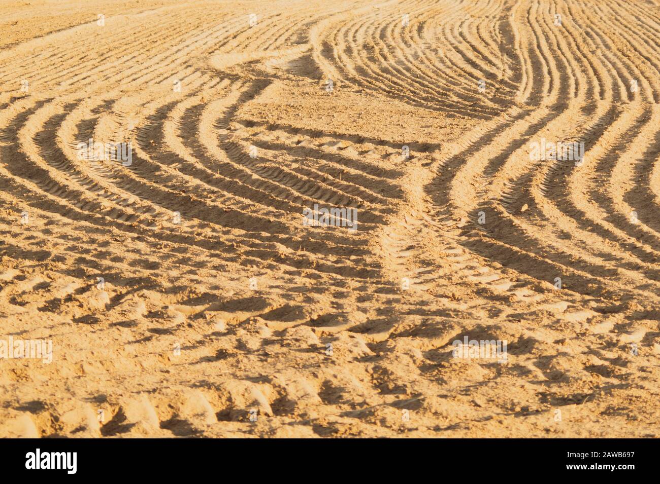 Pattern of curved ridges and furrows on a sandy field. traces on the ...