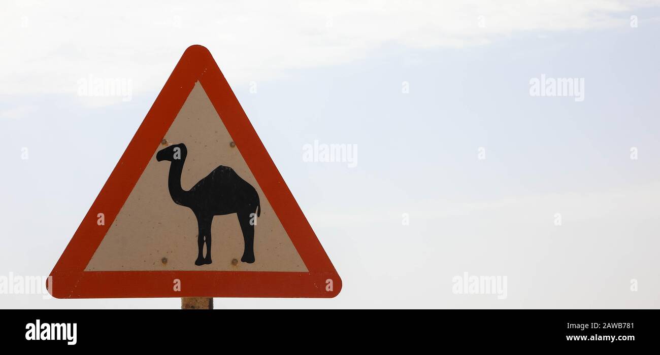 Camel road sign, Wahiba, Oman, Middle East Stock Photo - Alamy