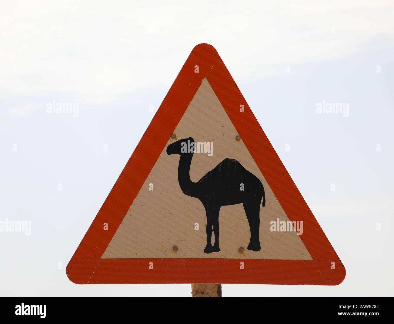 Camel road sign, Wahiba, Oman, Middle East Stock Photo - Alamy